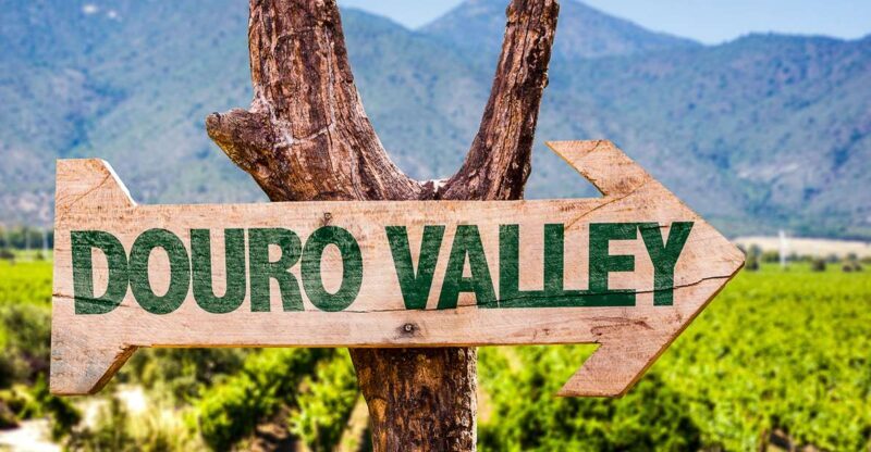 From Porto: Douro Valley w/ Boat Tour, Wine Tasting & Lunch - Who Should Consider This Tour?