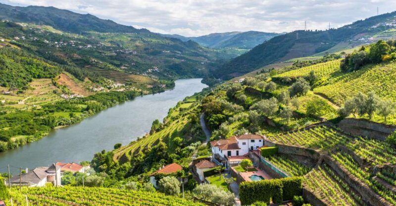 From Porto: Full-Day Douro Historical Tour - A Deep Dive into the Full-Day Douro Tour Experience