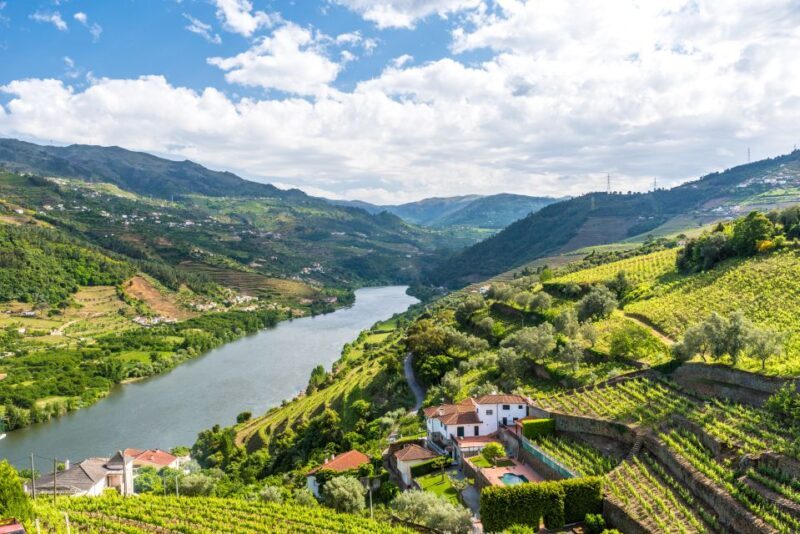 From Porto: Full-Day Douro Historical Tour - Who Will Love This Tour?