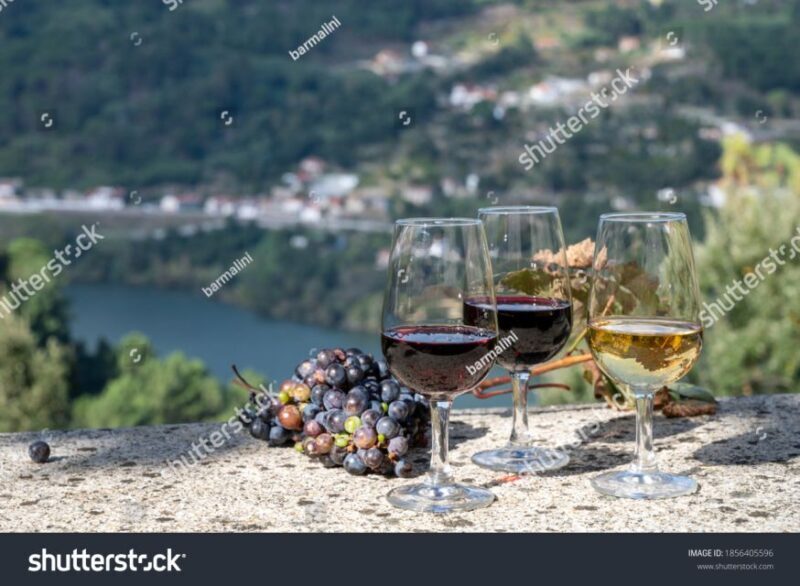 From Porto: Full-Day Douro Historical Tour - FAQ