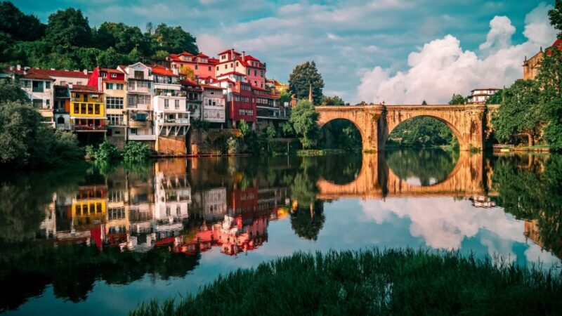 From Porto: Full-Day Douro Valley Trip - An In-Depth Look at the Douro Valley Full-Day Tour