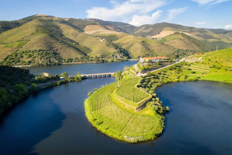 From Porto: Full-Day Douro Valley Trip - Authentic Experiences and Insider Tips