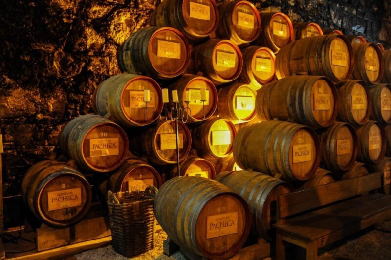 From Porto: Full-Day Douro Valley Trip - The Sum Up: Is This Tour Worth It?