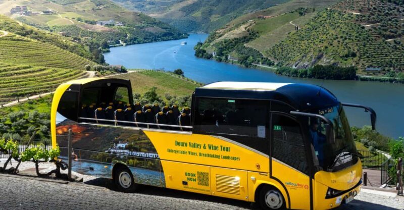 From Porto: Full-Day Douro Valley & Wine Tour with Lunch - Authentic, Scenic, and Well-Organized: Who’s This Tour For?