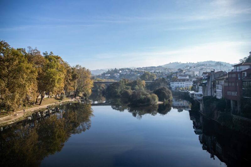 From Porto: Full-Day Douro Valley & Wine Tour with Lunch - The Sum Up