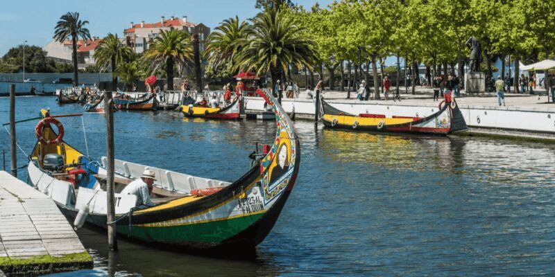 From Porto: Full-Day Trip to Coimbra & Aveiro with Boat Ride - Key Points