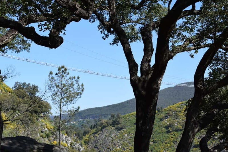 From Porto: Guided Tour of the 516 Arouca Suspension Bridge and Paiva Walkways - Who Will Love This Tour?