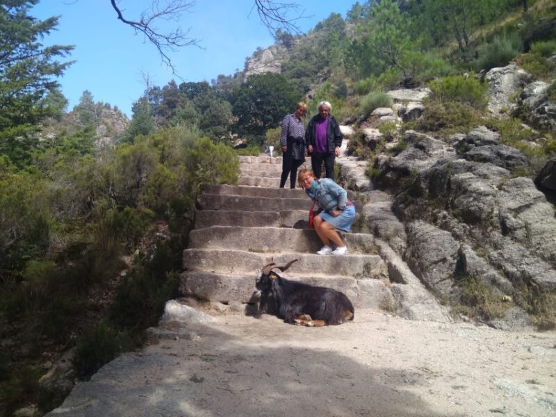 From Porto: Guided tour to Gerês Park - Conclusions: Is It Worth It?