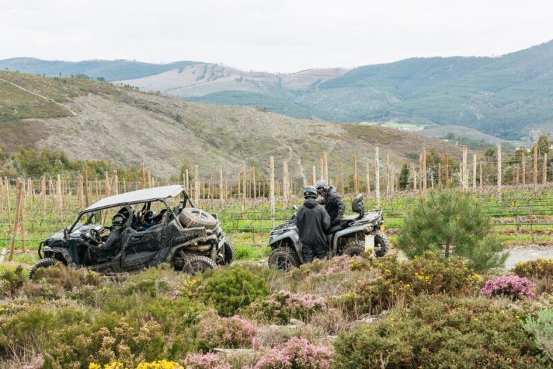 From Porto: Off-Road Buggy Adventure - Key Points