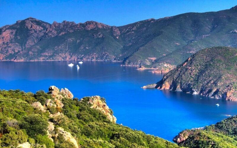 From Porto: Piana Creeks and Scandola Semi-Rigid Boat Tour - The Experience: What Sets It Apart