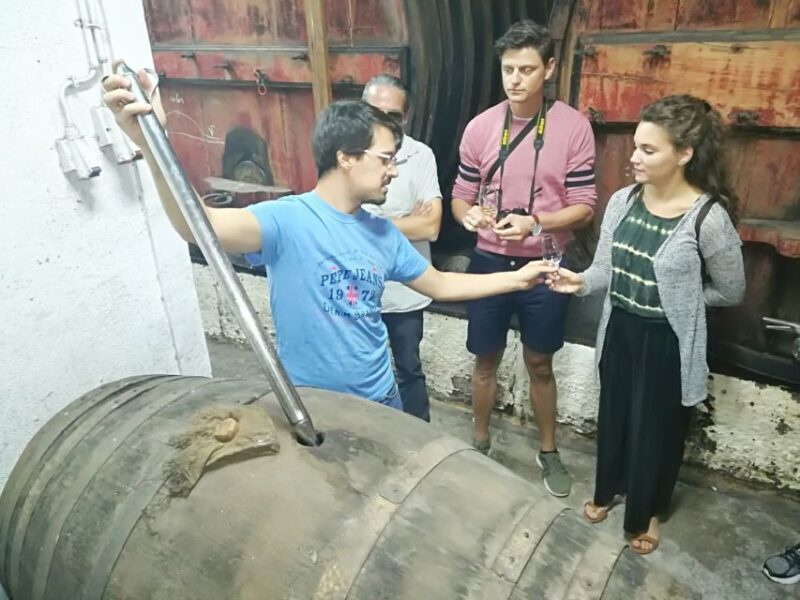 From Porto: Premium Douro Valley 4 Vineyards Tour with Lunch - FAQ