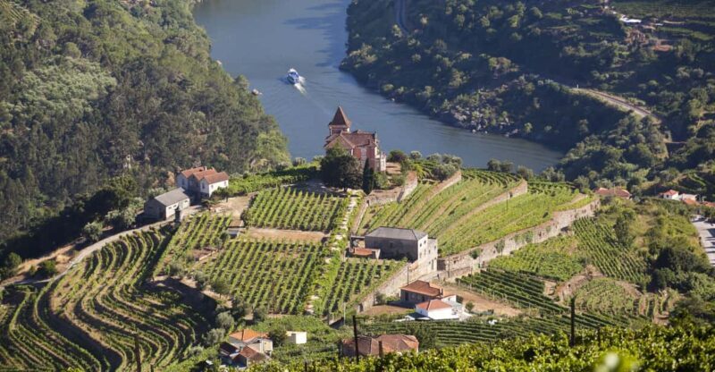 From Porto: Premium Douro Valley Small-Group Wine Tour - Guide & Experience Quality