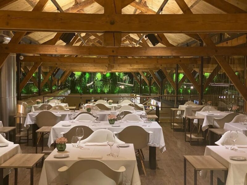 From Porto: Premium Douro Valley Small-Group Wine Tour - Practical Considerations