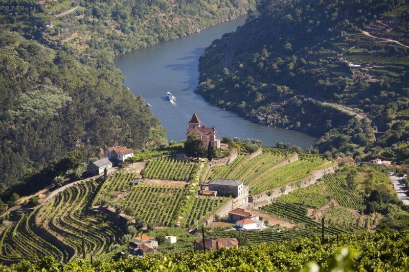 From Porto: Premium Douro Valley Small-Group Wine Tour - Authenticity & Personal Touch