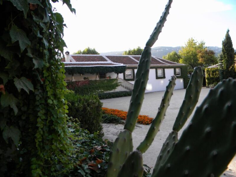 From Porto: Private Douro Valley Tour with Booking Service - Who Is This Tour Best For?