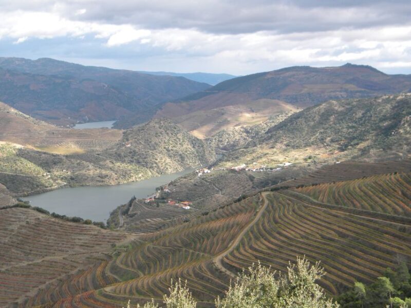 From Porto: Private Douro Valley Tour with Booking Service - Final Thoughts