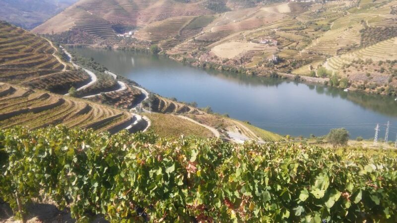 From Porto: Private Douro Valley Tour with Cruise and Wine - The Sum Up