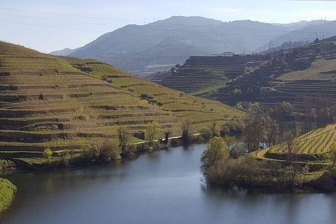 From Porto Private Tour Douro Valley two Wineries, Lunch and Boat. - Key Points