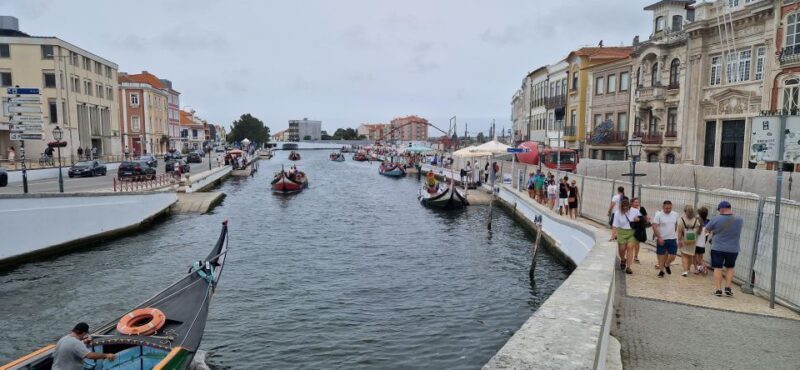 From Porto Private Tour Half Day in Aveiro and Costa Nova - Who Will Love This Tour?