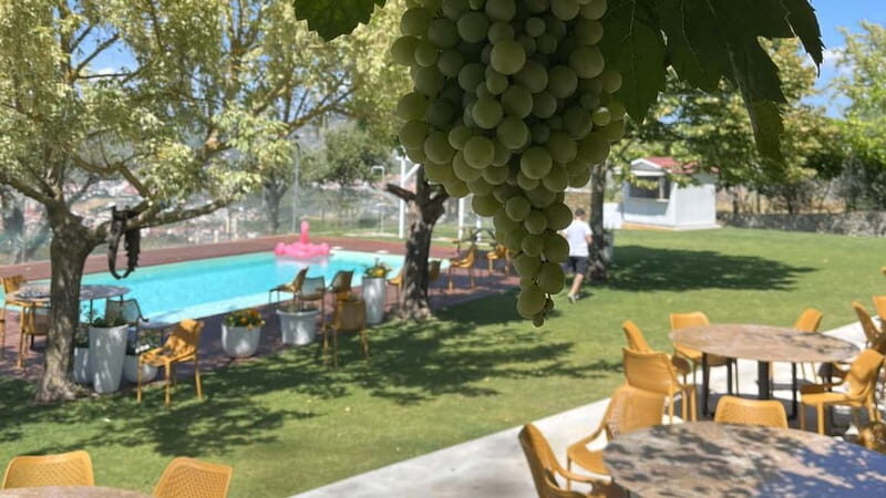 From Porto: Tastings at 2 Wineries, Chef's Lunch & Boat Tour - Practical Aspects