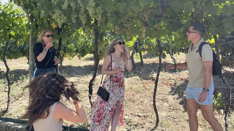 From Porto: Tastings at 2 Wineries, Chef's Lunch & Boat Tour - Who Is This Tour Best For?