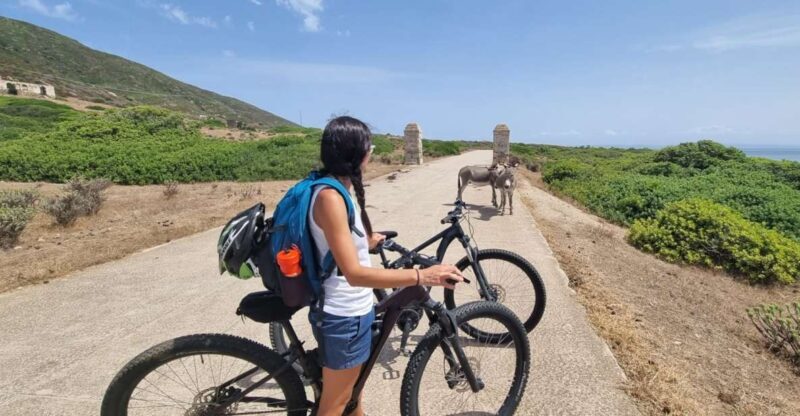 From Porto Torres: E-Bike Rental - Detailed Breakdown of the Itinerary