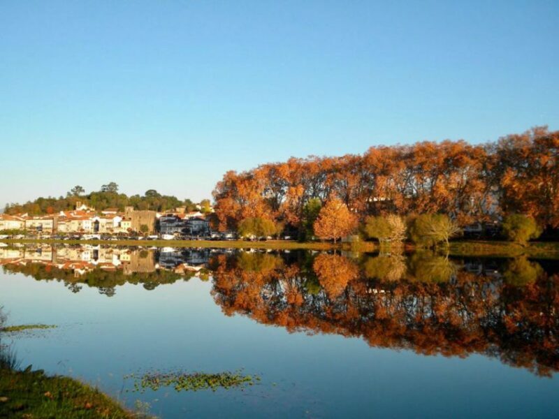 From Porto: Viana Castelo and Ponte Lima Private Tour - Who Should Consider This Tour?