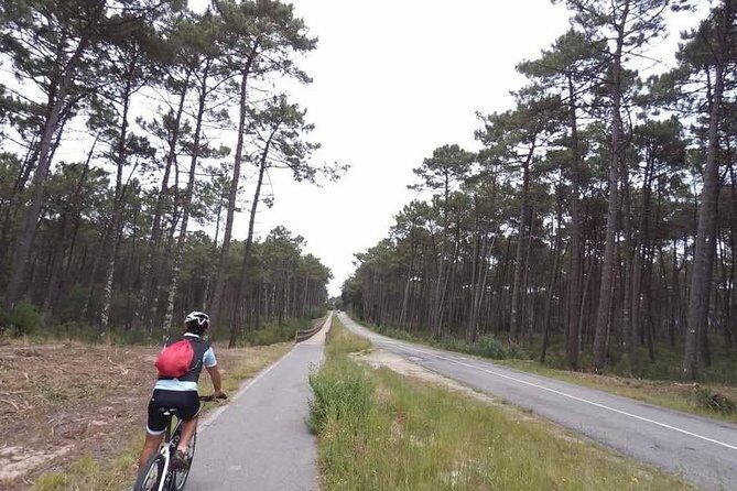 From Porto with view to Gaia: Private Bike Tour #DuckSideOfPorto - Why This Tour Is Worth Considering