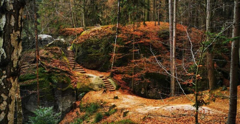 From Prague: Full-Day Bohemian Paradise Guided Hiking Trip - Why This Tour Offers Great Value