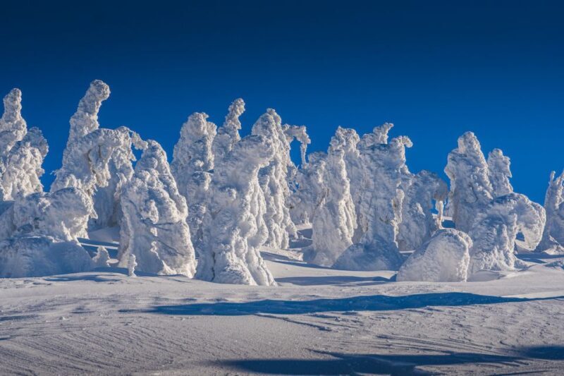 From Prague: Guided Snowshoe Tour with Mountain Views - The Mountain Top Break & UNESCO-Listed Restaurant