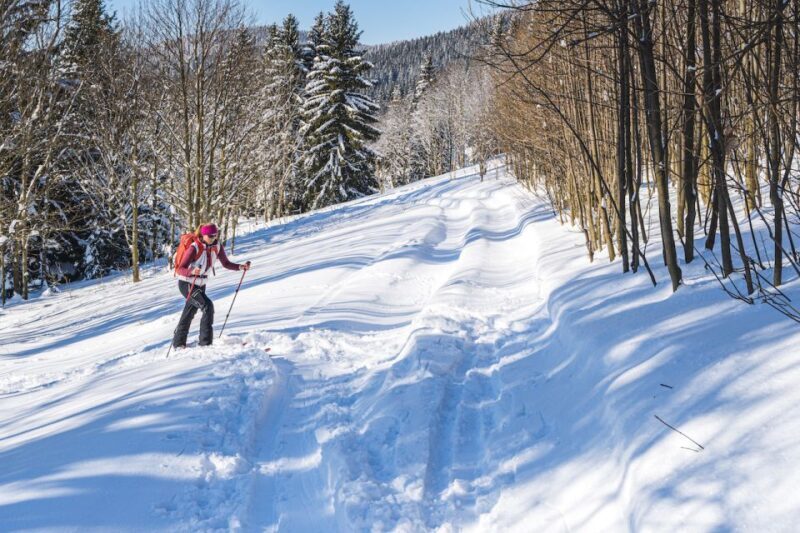 From Prague: Guided Snowshoe Tour with Mountain Views - The Night Snowshoe Experience – An Unforgettable Finish