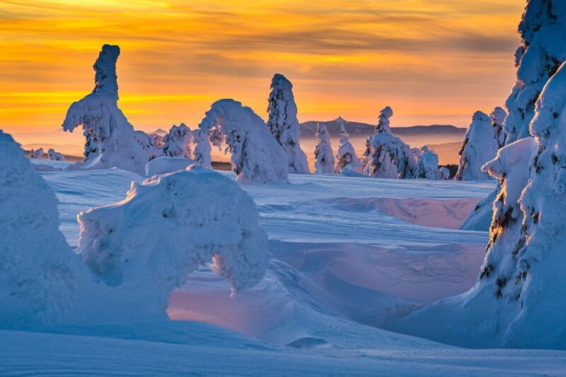 From Prague: Guided Snowshoe Tour with Mountain Views - What Reviewers Say