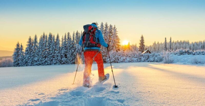 From Prague: Guided Snowshoe Tour with Mountain Views - Who Will Love This Tour?