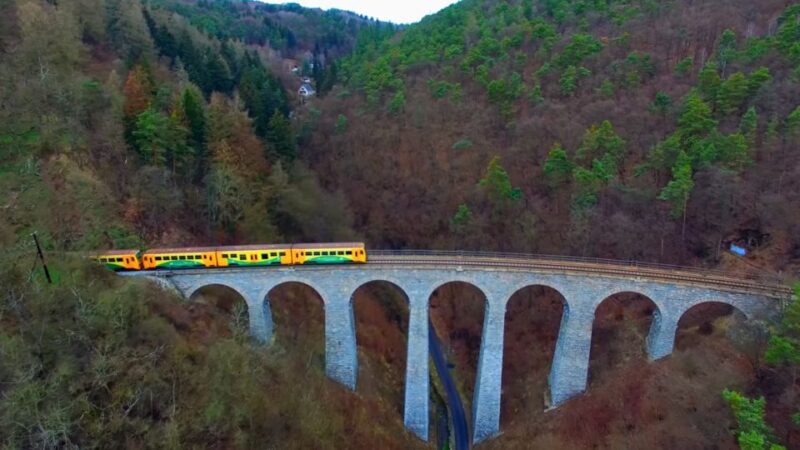 From Prague: Sazava River Canoe Day Trip for All Levels - A Deep Dive into the Sazava River Canoe Experience
