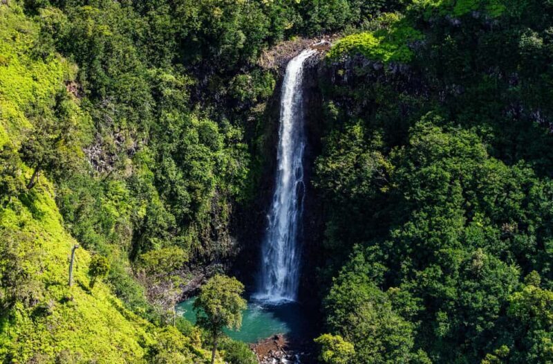From Princeville: Discover Kauai Helicopter Tour - An In-Depth Look at the Kauai Helicopter Tour