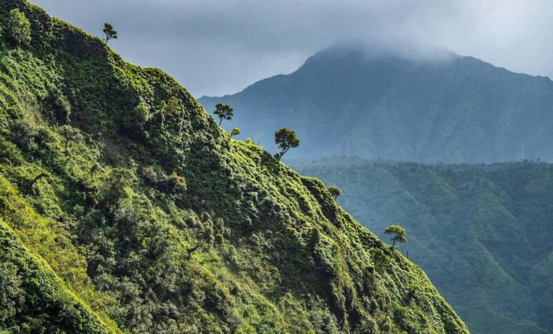 From Princeville: Discover Kauai Helicopter Tour - The Sum Up