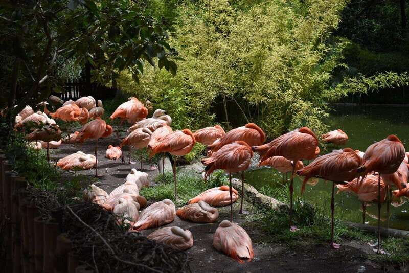 From Puebla: Africam Safari Private Tour all included - Final Thoughts