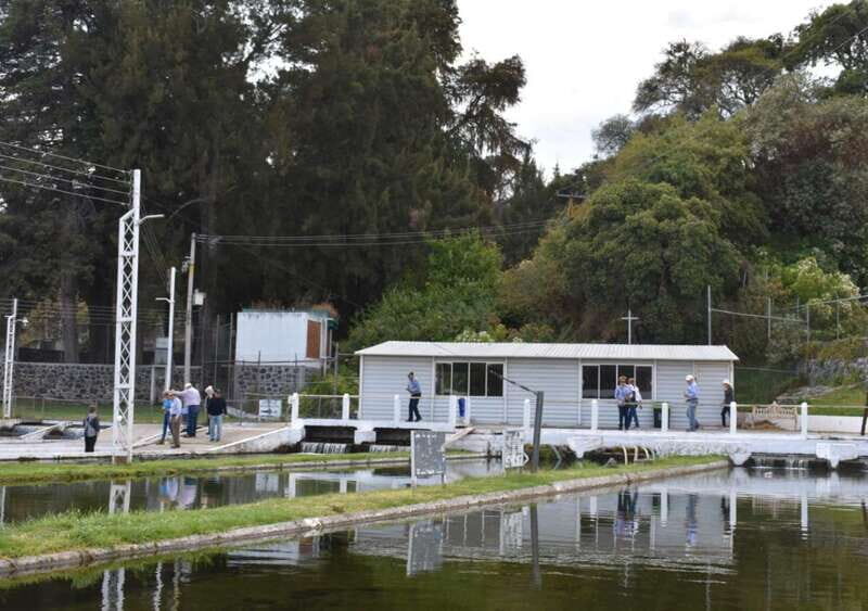 From Puebla: Atlixco & Atlimeyaya Private Tour all included - Visiting a Nursery: Blooming Beauty and Plant Enthusiasm