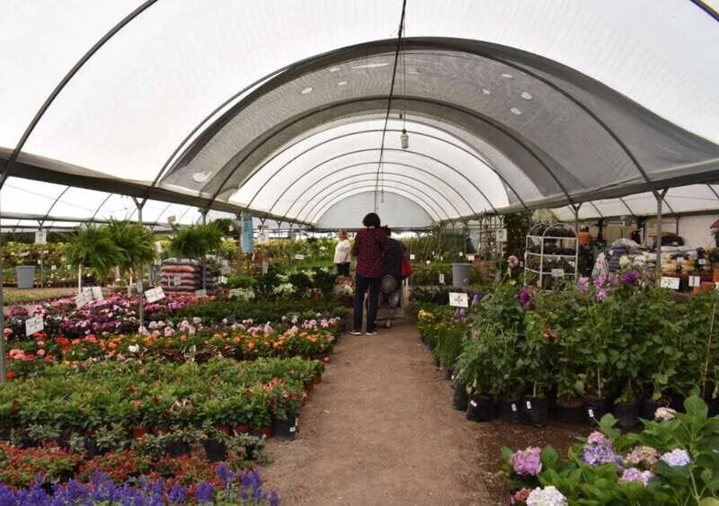 From Puebla: Atlixco & Atlimeyaya Private Tour all included - Scenic Drive to Atlimeyaya and the Trout Farm Experience