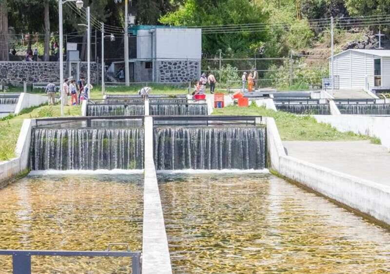 From Puebla: Cholula and Atlixco Private Tour all included - Analyzing the Value