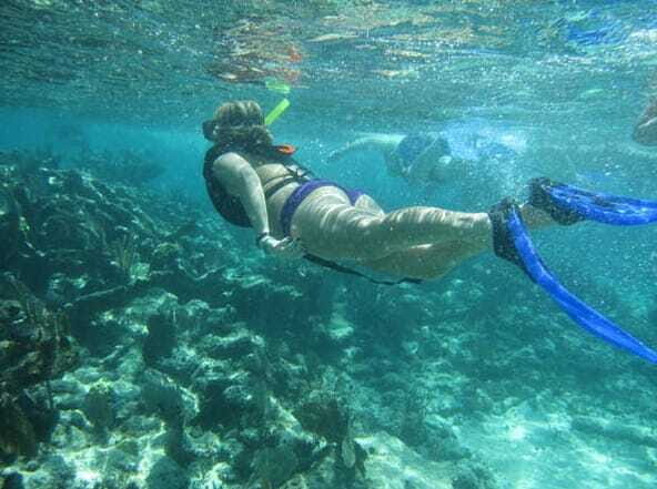 From Puerto Aventuras: Share Catamaran Tour - The Sum Up