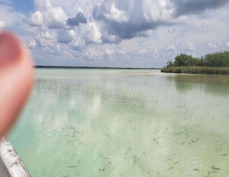 From Puerto Morelos: Lagoon k'an luum - FAQ