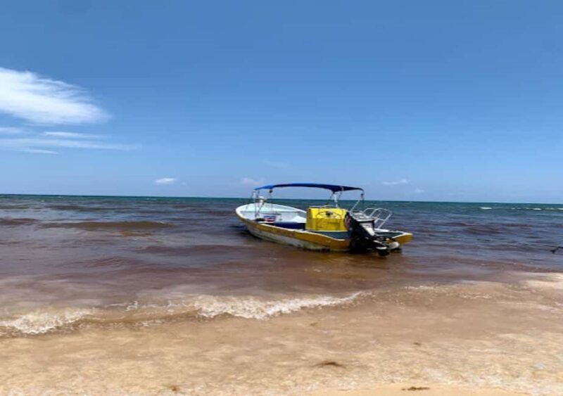 From Puerto Morelos: Ocean Reef Snorkeling - What Travelers Can Expect