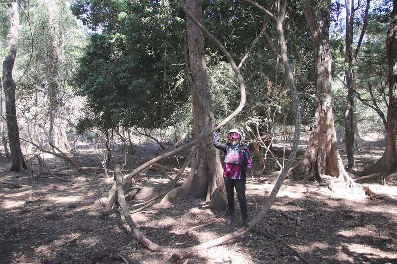 From Puerto Vallarta: 2-Hour Guided Sierra Vallejo Hike - The Experience from Reviews