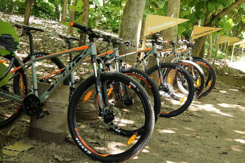 From Puerto Vallarta: Jungle Mountain Bike Tour - Pricing and Value: Is It Worth It?