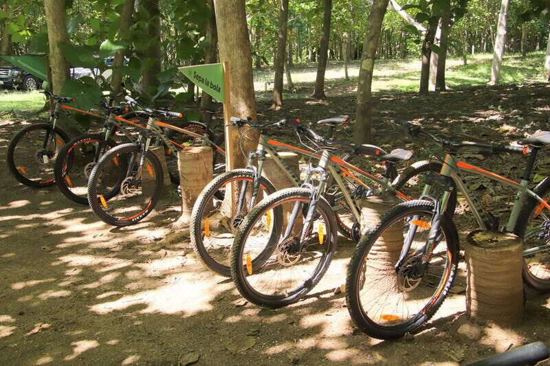 From Puerto Vallarta: Jungle Mountain Bike Tour - Who Is This Tour Best For?