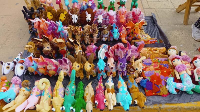 From Puerto Vallarta: San Pancho and Sayulita Cultural Tour - Things to Keep in Mind