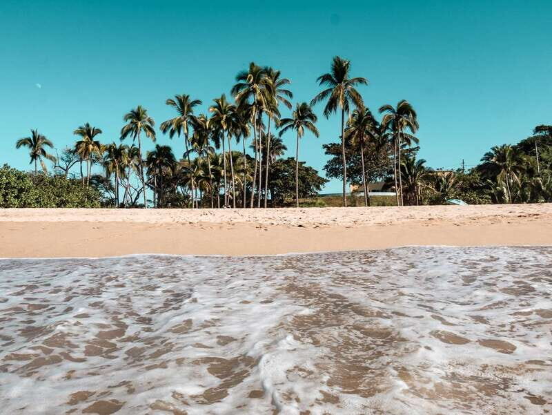 From Puerto Vallarta: San Pancho and Sayulita - From Puerto Vallarta: San Pancho and Sayulita — A Balanced Look at a Coastal Day Trip