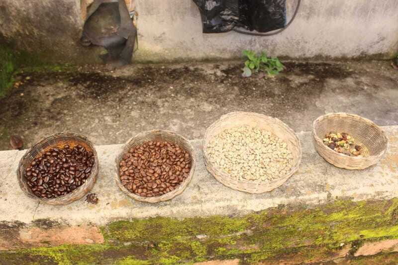 From Puerto Vallarta: San Sebastian del Oeste with Lunch - Key Points