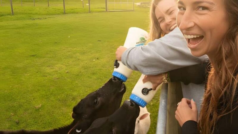 From Queenstown: Coach, Farm Tour & Milford Nature Cruise - An In-Depth Look at the Experience